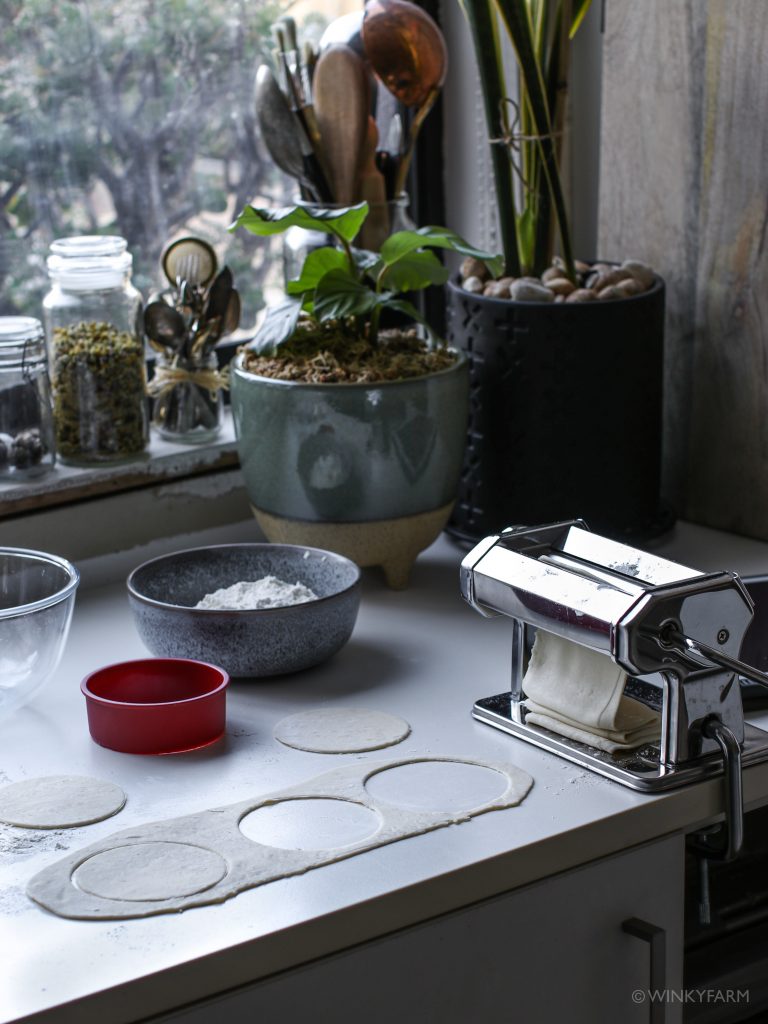 Homemade Dumpling Wraps Winkyfarm