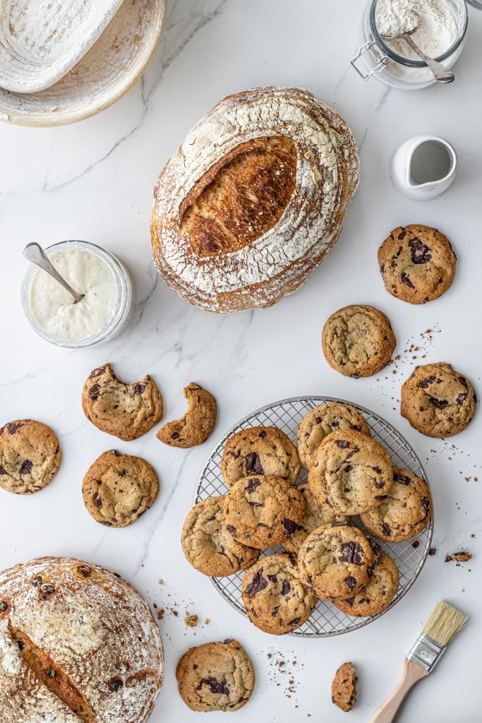 Discarded Sourdough Chocolate Chip Cookies Winkyfarm